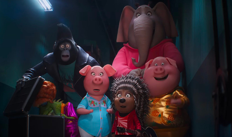 CINLAY – Cinematic Layout